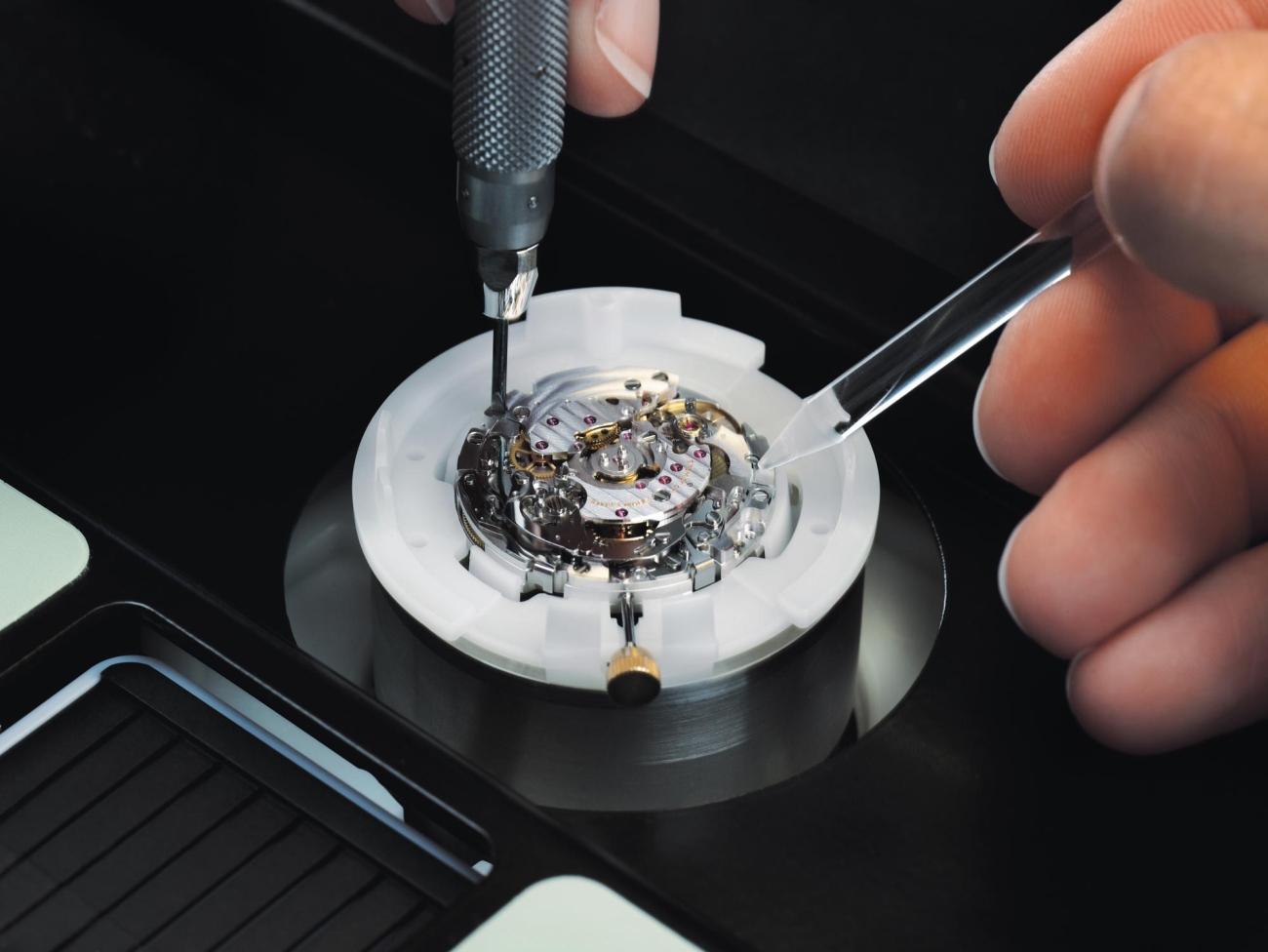 The Chronograph - A Look at Watch Movements | Laings