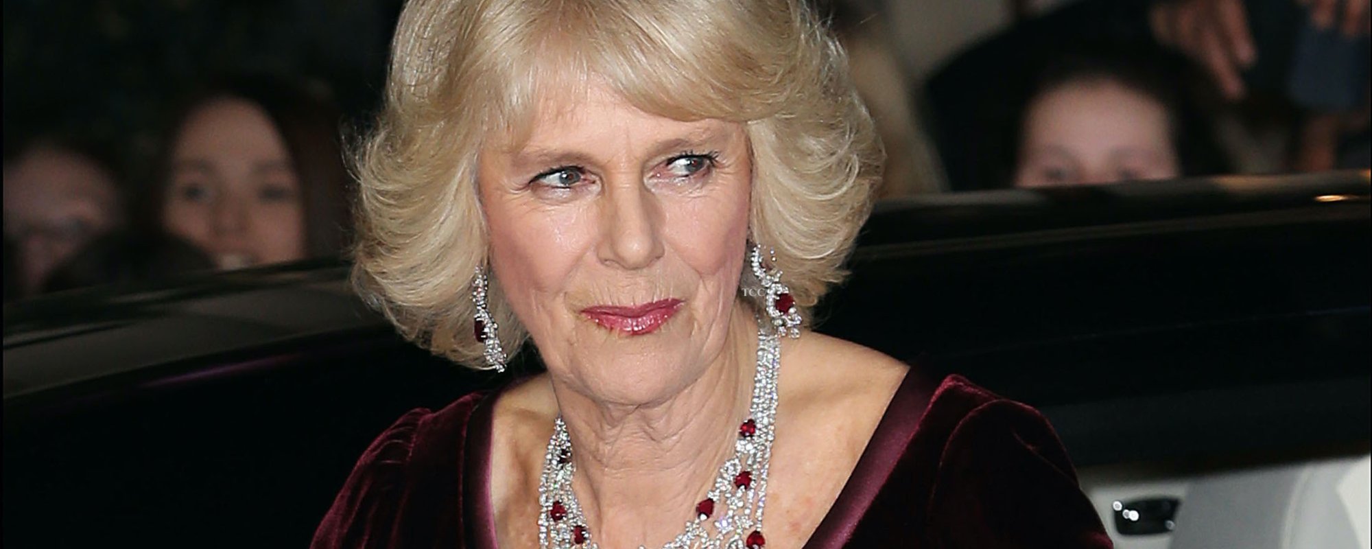 Legend of the Ruby | Laings